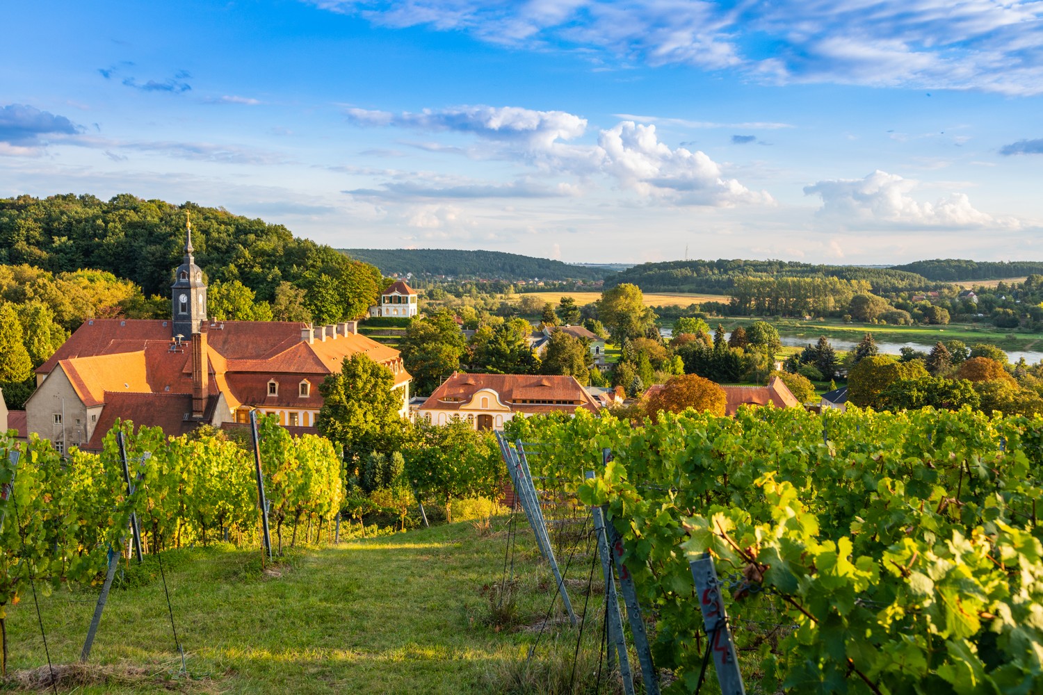 Míšeň: malebné město na Labi ve stínu Drážďan nabízí porcelán, víno i klid | Cestovinky